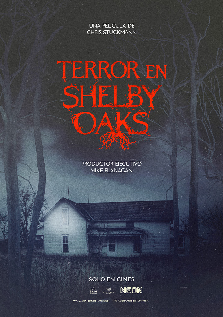 Las 8 mejores películas de Paul Walker - Paloma & Nacho