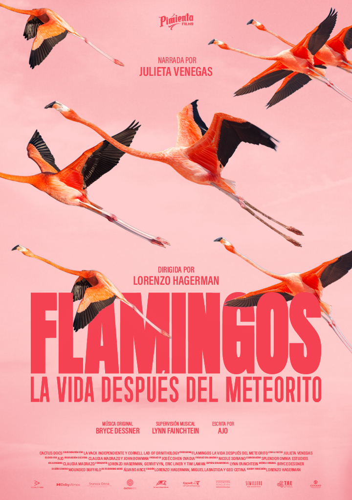 Flamingos, La Vida Después Del Meteorito poster